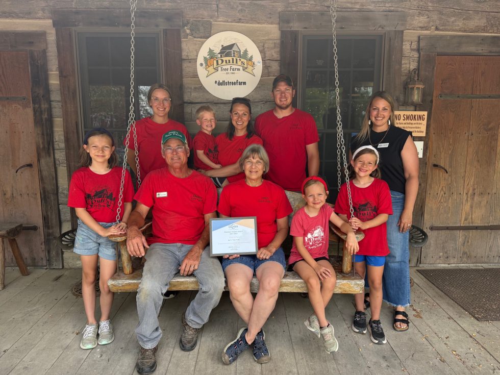 Impact Award Nominations - Boone Chamber
